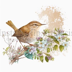 Wren Clipart, 10 High Quality Jpgs, Nursery Art, Instant Digital ...