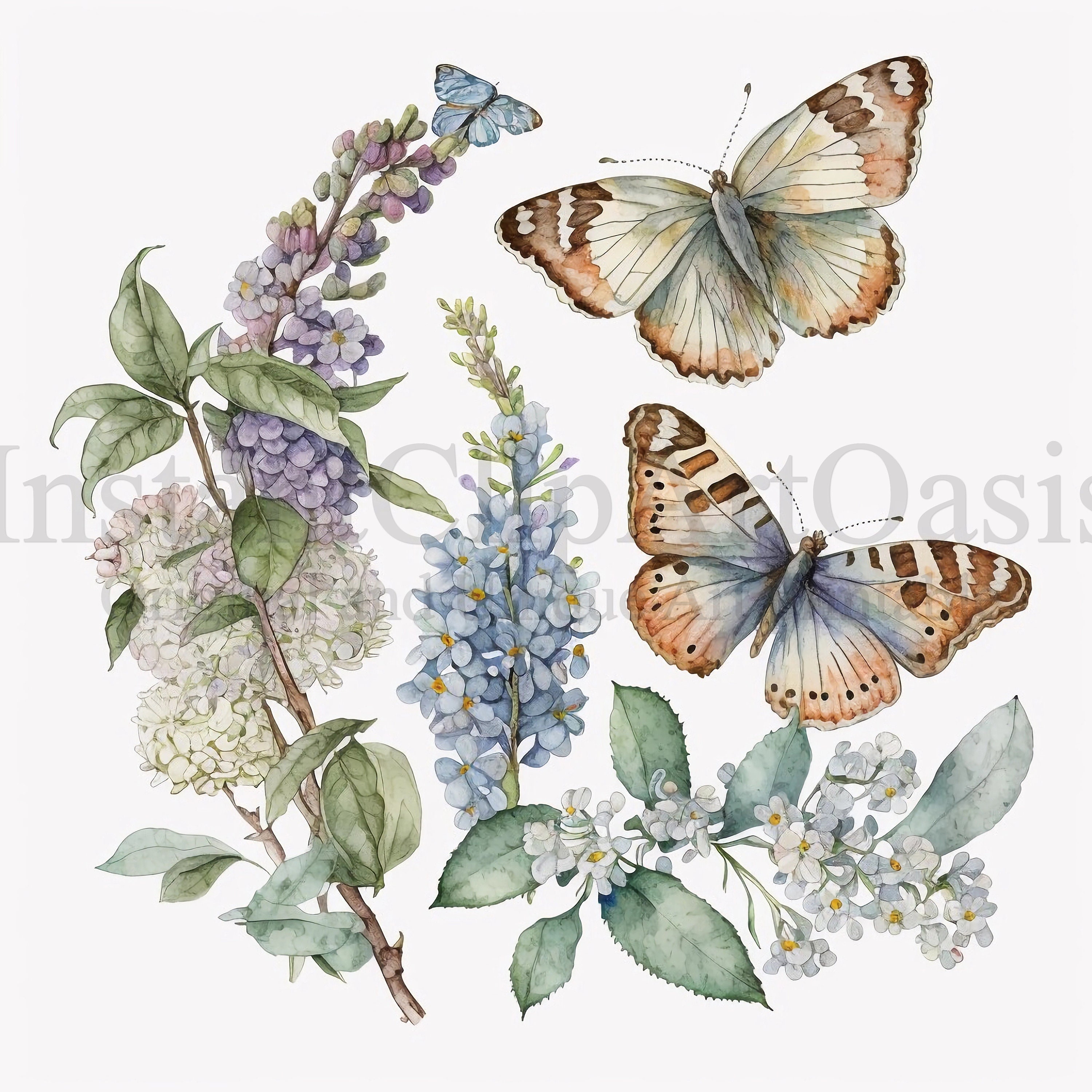 Florals Butterfly Clipart, 10 High Quality Jpgs, Nursery Art | Card ...