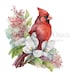Red Cardinal Clipart, 10 High Quality Pngs, Nursery Art, Digital ...