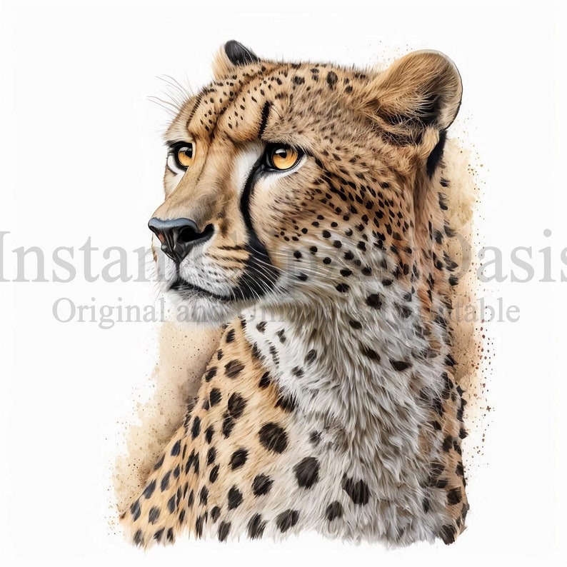 Cheetah Clipart, 10 High Quality Jpgs, Nursery Art, Instant Digital ...