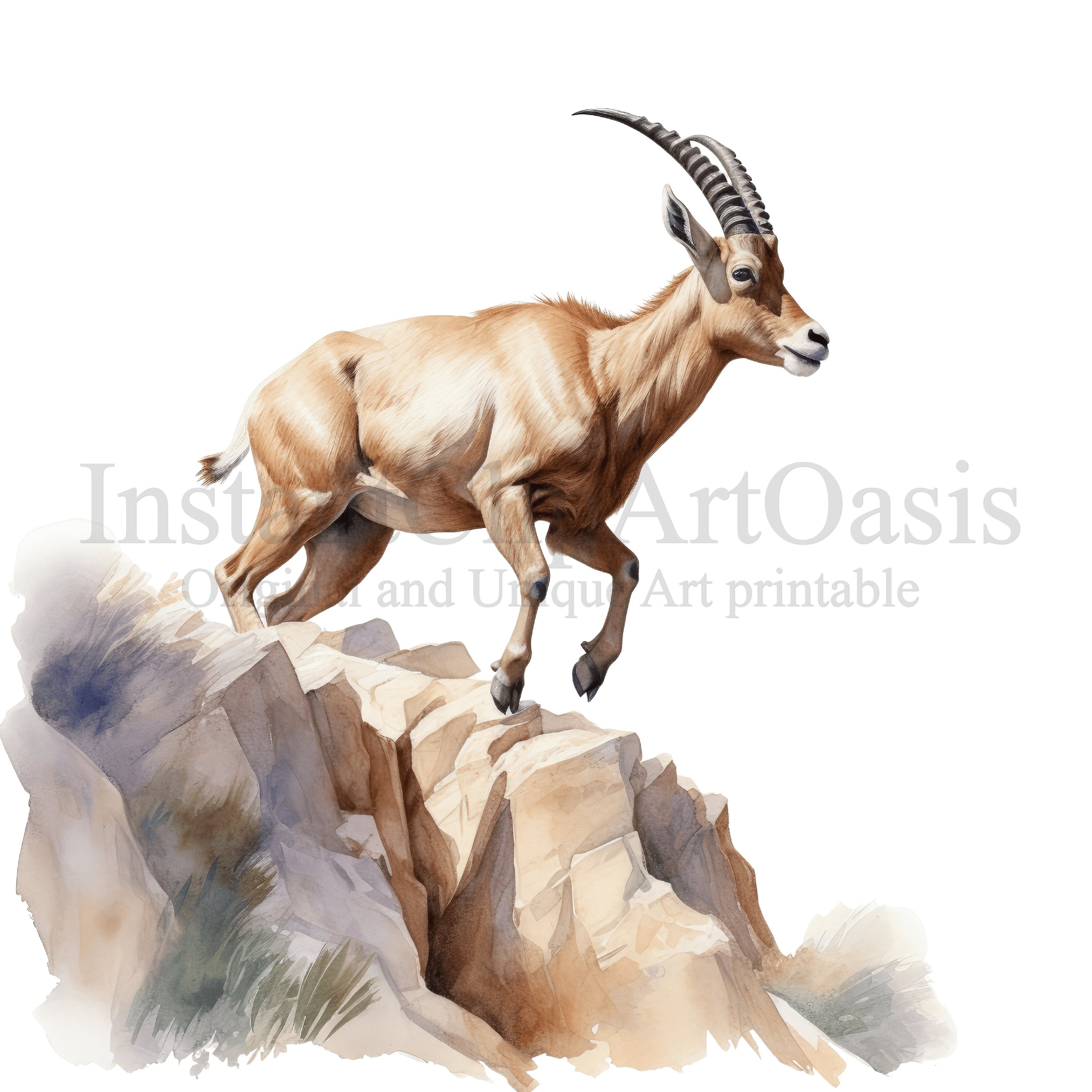 Mountain Ibex Clipart - 10 High Quality Pngs, Digital Planners, Junk ...