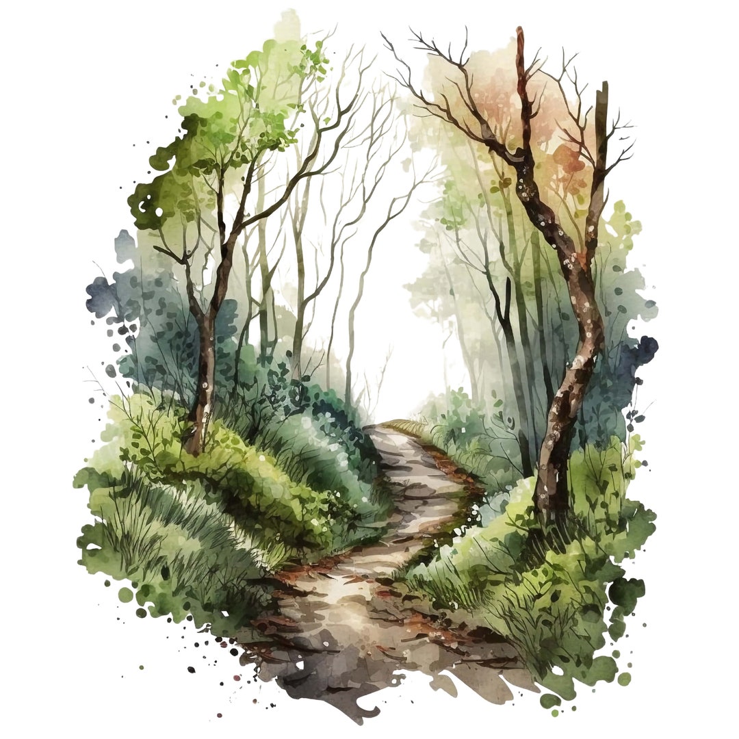 Forest Trail Clipart, 10 High Quality Pngs, Watercolor Art, Digital ...