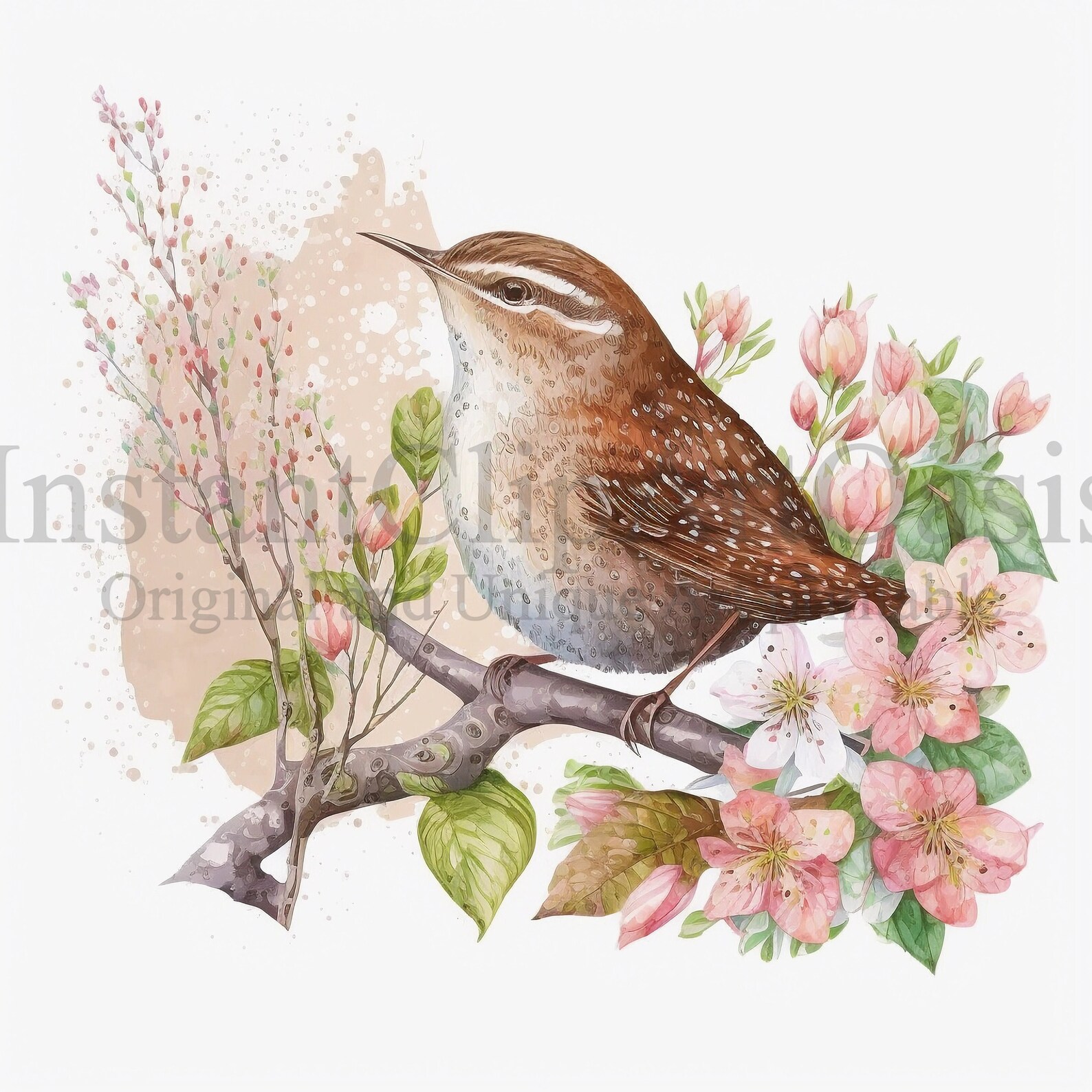 Wren Clipart, 10 High Quality Jpgs, Nursery Art, Instant Digital ...