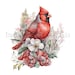 Red Cardinal Clipart, 10 High Quality Pngs, Nursery Art, Digital ...