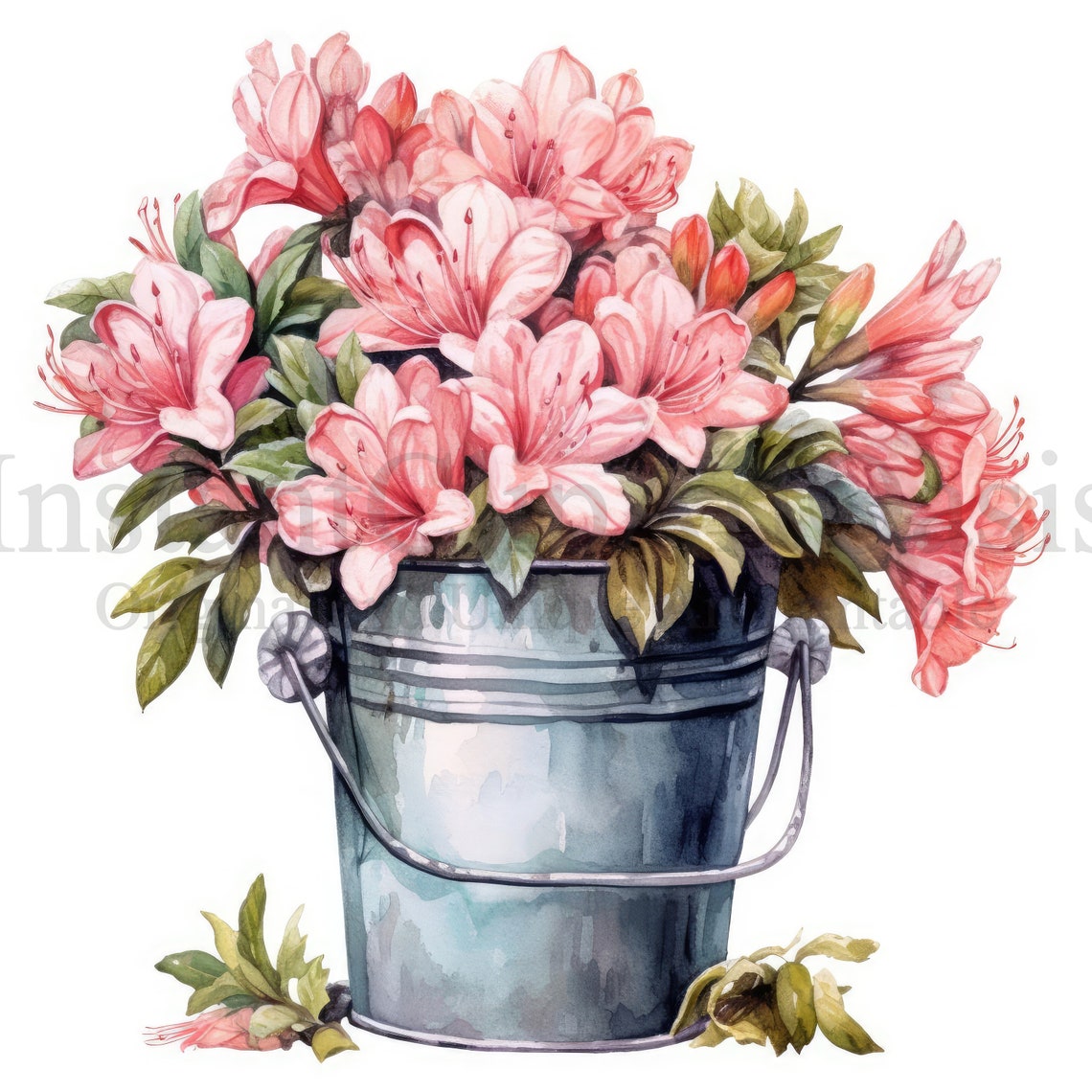 Azalea Bucket Clipart, 13 High Quality Jpgs, Card Making, Azalea Clip ...