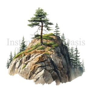 Pine Trees on Cliff Clipart, 10 High Quality Pngs, Botanical Art ...