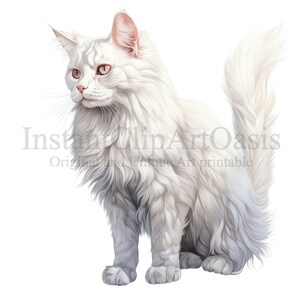 White Cats Clipart, 10 High Quality Pngs, Nursery Art, Digital Download ...