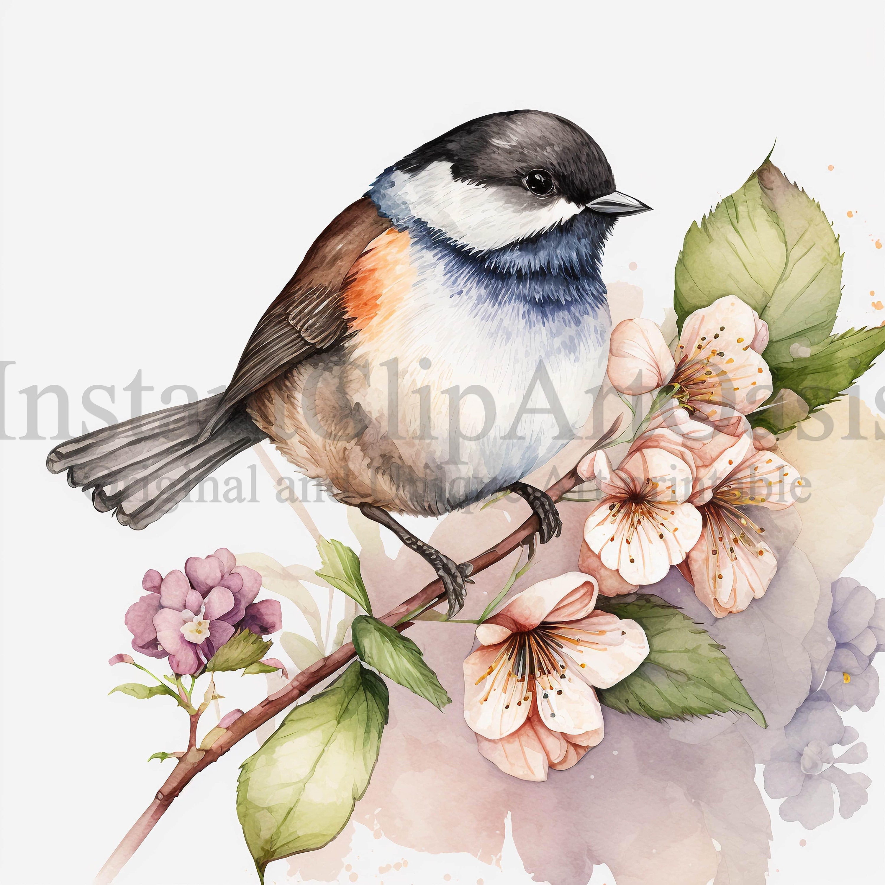 Chickadee Clipart, 10 High Quality Jpgs, Nursery Art, Digital Download ...