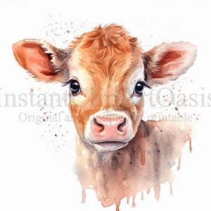 Veal Clipart, 10 High Quality Jpgs, Digital Download, Card Making ...
