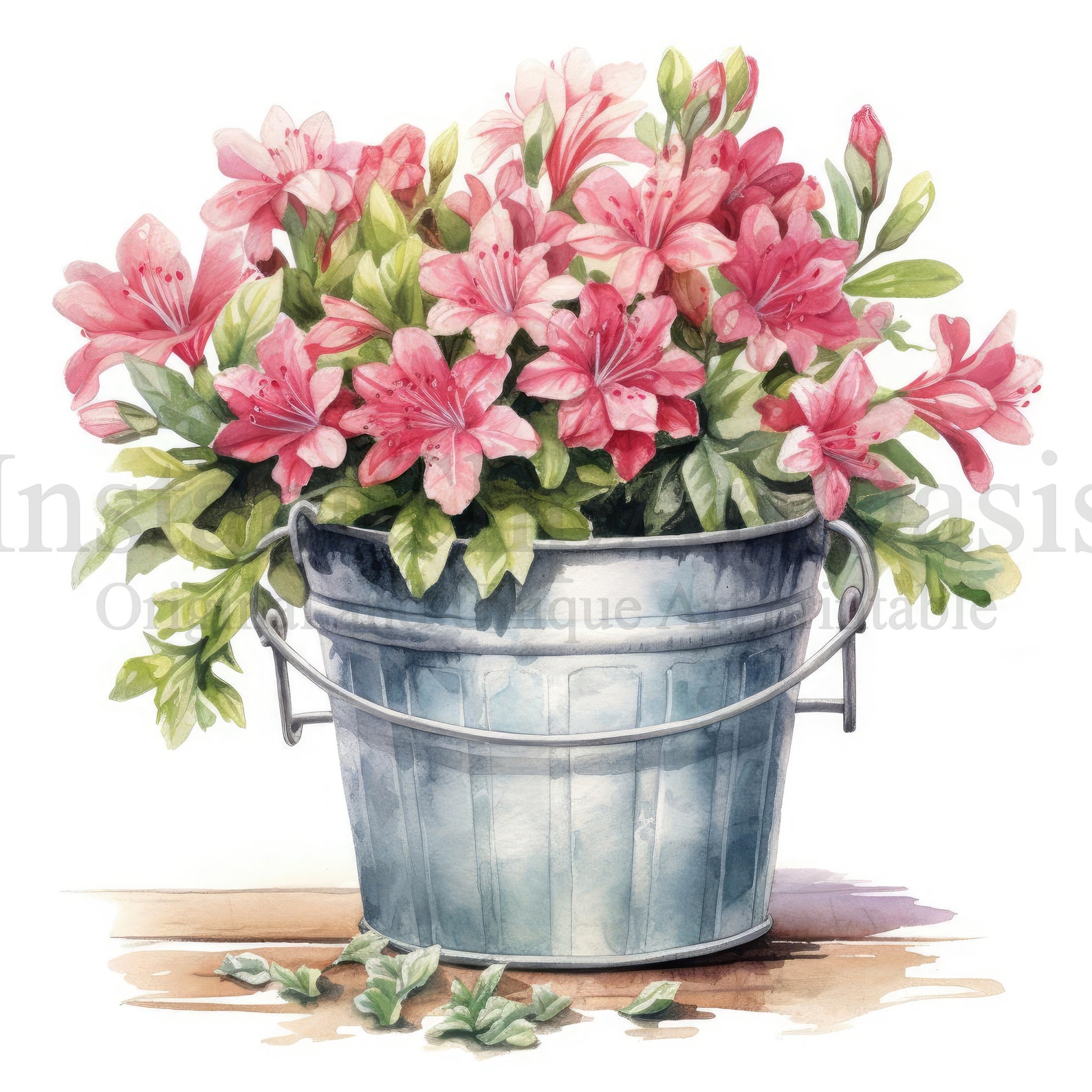 Azalea Bucket Clipart, 13 High Quality Jpgs, Card Making, Azalea Clip ...