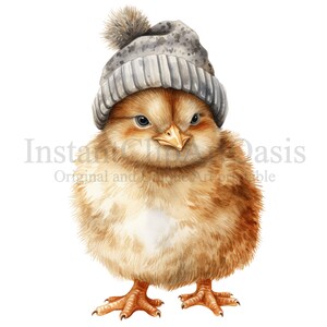 Chicken With Wooly Hat Clipart, 10 High Quality Pngs, Nursery Art ...