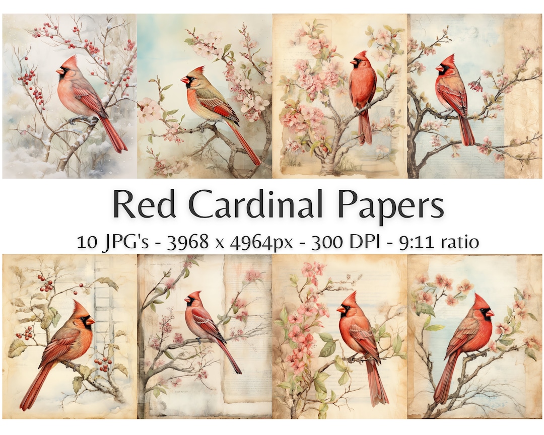 Red Cardinal Papers, 10 High Quality Jpgs, Vintage Illustration ...