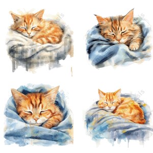 Sleeping Cats Clipart, 10 High Quality Pngs, Nursery Art, Digital ...