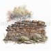Rustic Stone Walls Clipart, 10 High Quality Jpgs, Watercolor Art ...