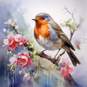 Spring Robin Clipart, 10 High Quality Jpgs, Nursery Art, Instant ...