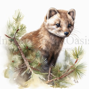 Marten Clipart, 10 High Quality Jpgs, Nursery Art, Instant Digital ...