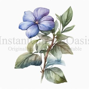 Blue Flowers Clipart, 10 High Quality Jpgs, Botanical Art, Digital ...