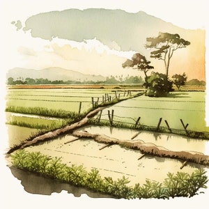 Rice Fields Clipart, 10 High Quality Jpegs, Digital Planner, Junk ...