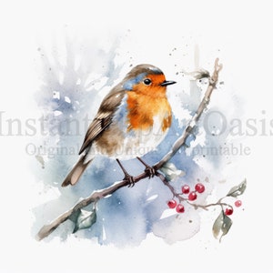Winter Robin Clipart, 10 High Quality Jpgs, Nursery Art, Instant ...