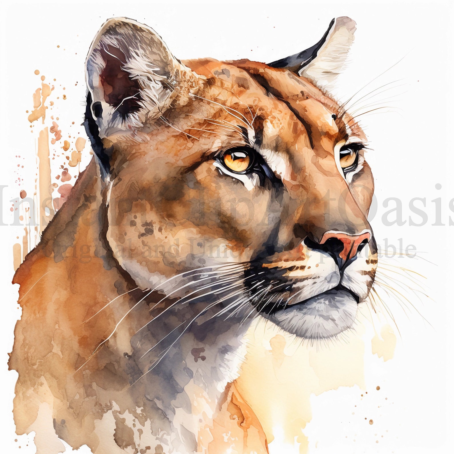 Cougar Clipart, 10 High Quality Jpgs, Nursery Art, Instant Digital ...