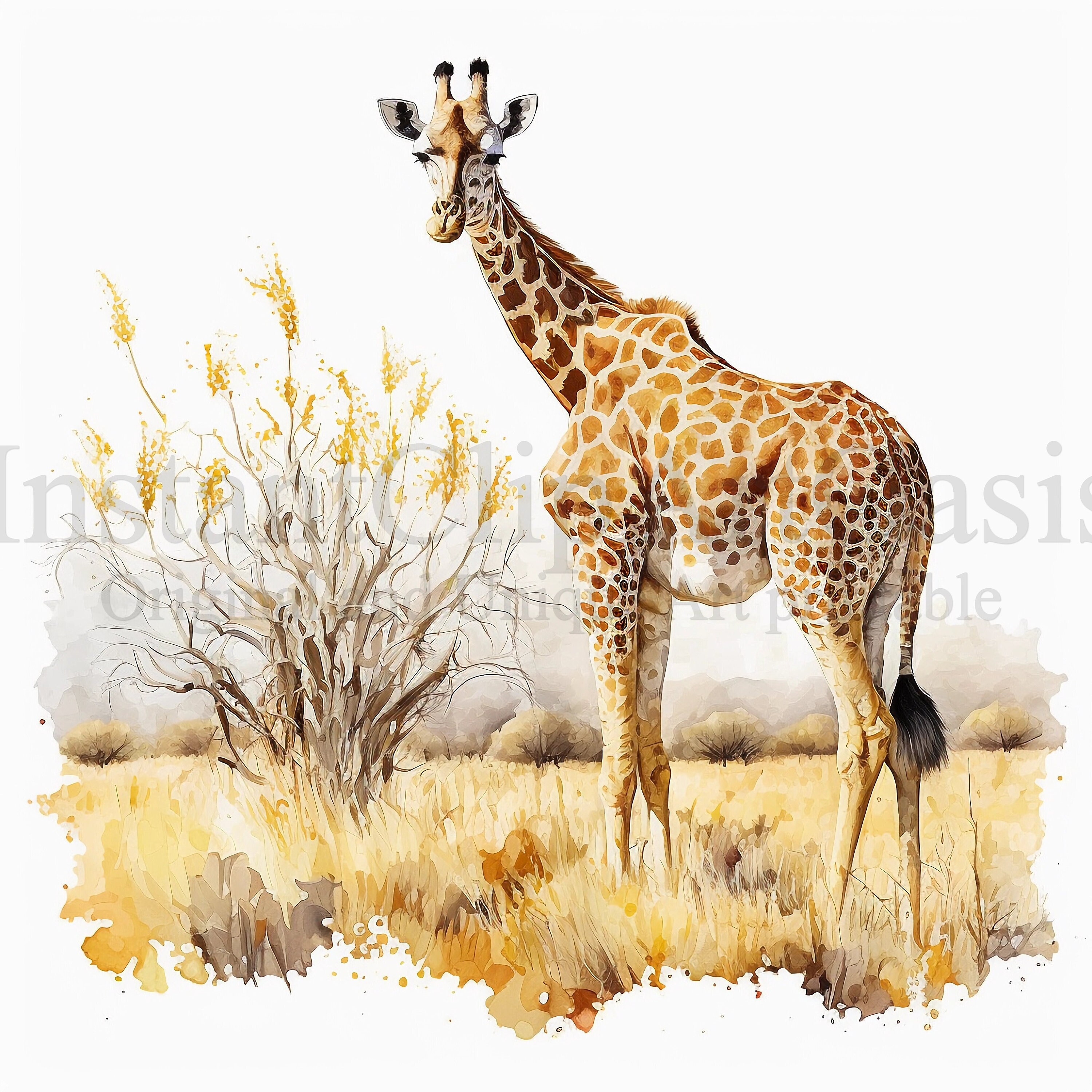 Giraffe Clipart, 9 High Quality Jpgs, Digital Download, Card Making ...