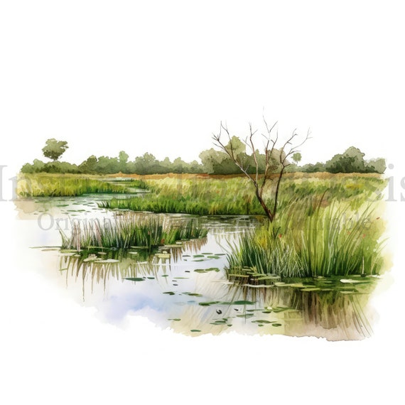 Wetland Clipart