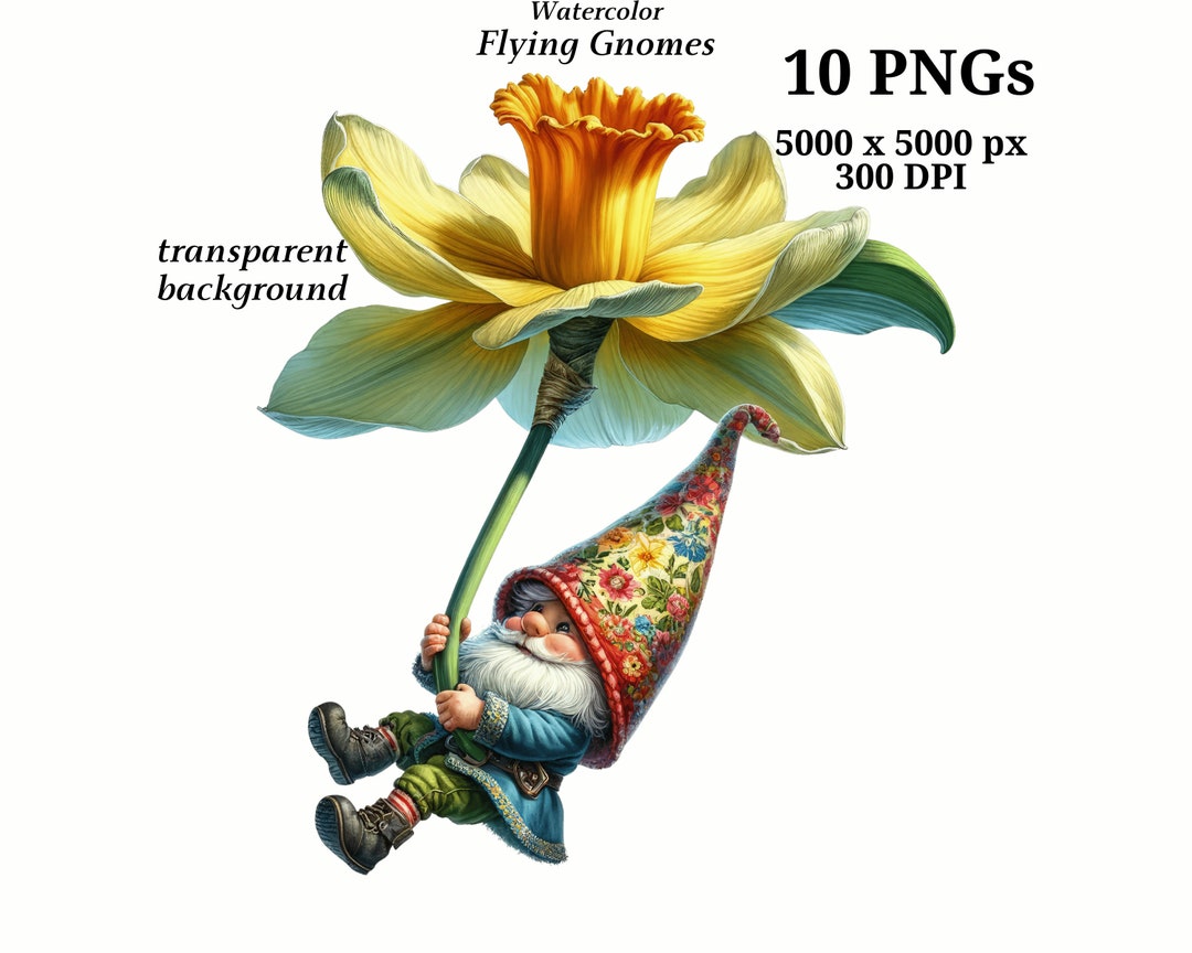 Flying Gnomes Clipart, 10 High Quality Pngs, Digital Download, Card ...