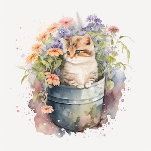 Cats in a Bucket Clipart, 9 High Quality Jpgs, Digital Download, Card ...