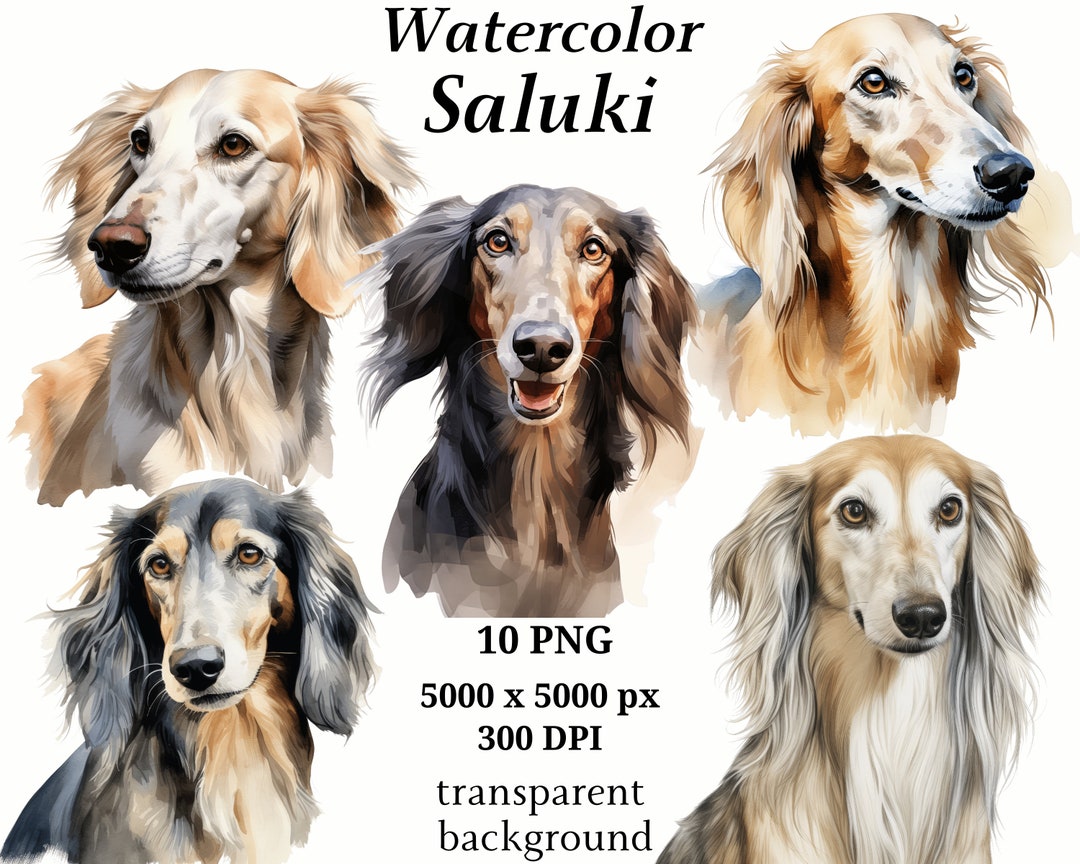 Saluki Clipart - 10 High Quality Pngs, Nursery, Digital Planner ...