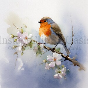 Spring Robin Clipart, 10 High Quality Jpgs, Nursery Art, Instant ...