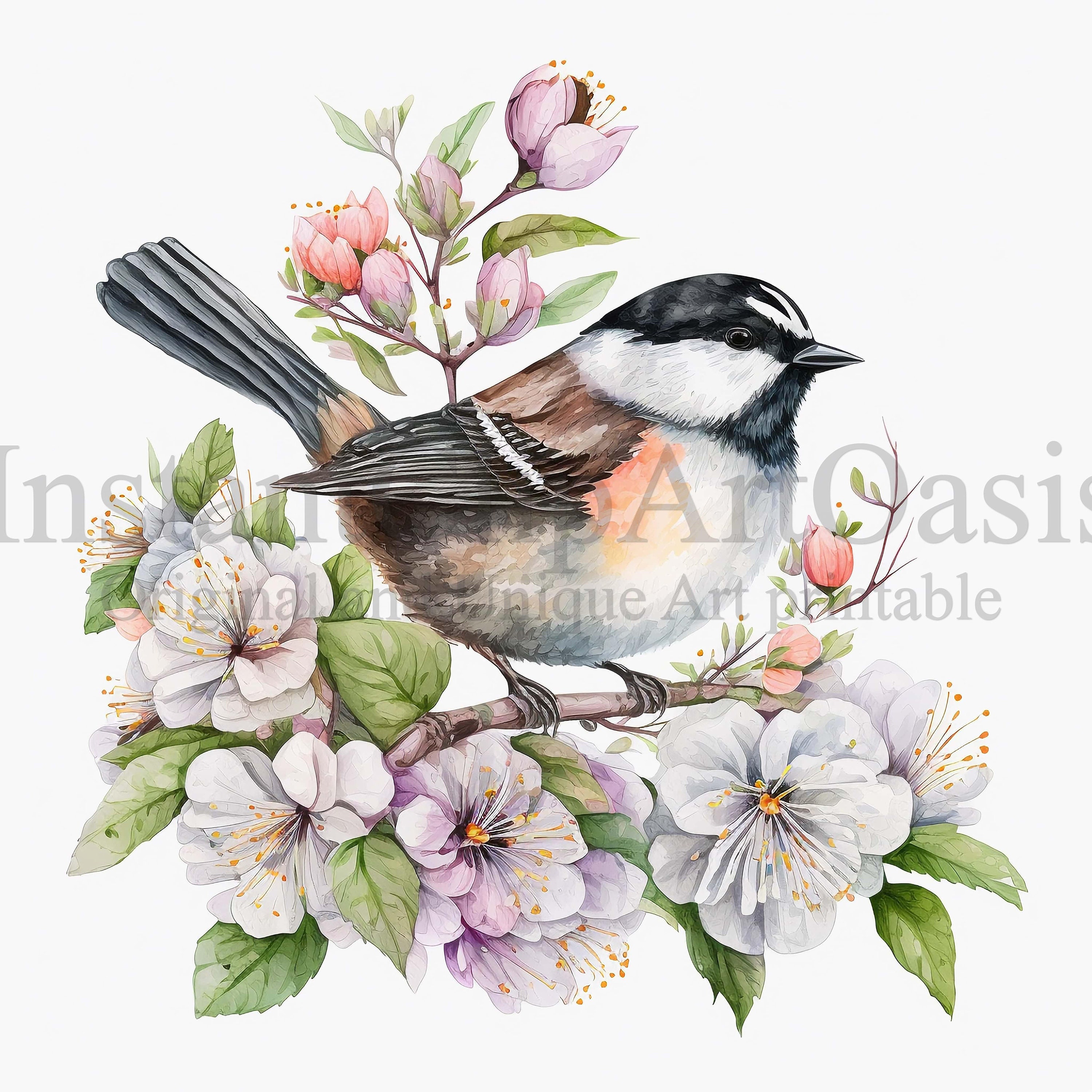 Chickadee Clipart, 10 High Quality Jpgs, Nursery Art, Digital Download ...