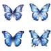 Blue Morpho Butterfly Clipart, 16 High Quality Pngs, Nursery Art | Card ...