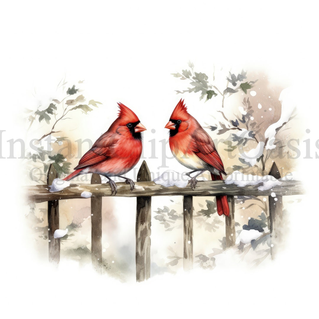 Winter Red Cardinals Clipart, 10 High Quality Jpgs, Instant Digital ...