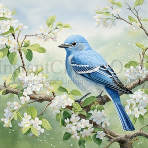 Spring Blue Bird Clipart, 10 High Quality Jpgs, Nursery Art, Instant ...