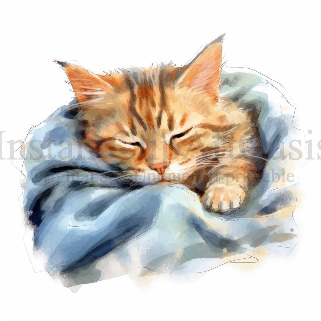 Sleeping Cats Clipart, 10 High Quality Jpgs, Nursery Art, Digital ...