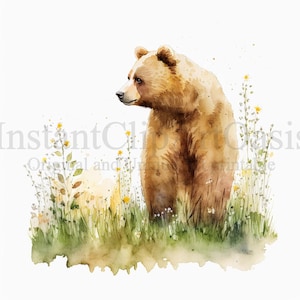 Bear in a Meadow Clipart, 10 High Quality Jpgs, Digital Download, Card ...