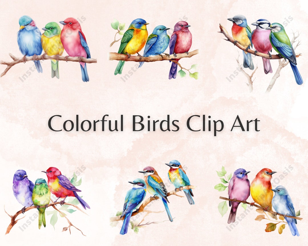 Colorful Birds Clipart, 10 High Quality Pngs, Nursery Art, Instant ...