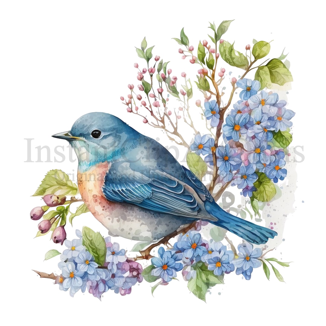 Blue Bird Clipart, 10 High Quality Pngs, Nursery Art, Instant Digital ...