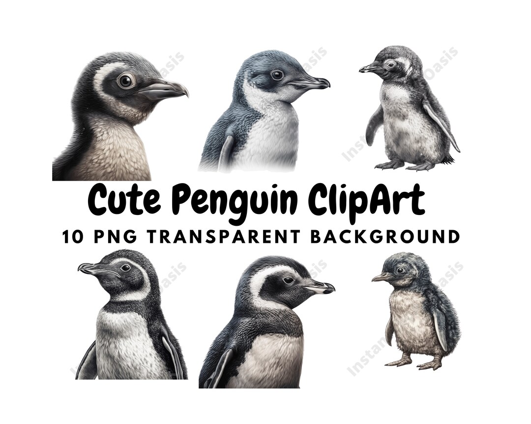 10 High Quality Pngs - Cute Penguin Clipart, Nursery Art, Instant ...