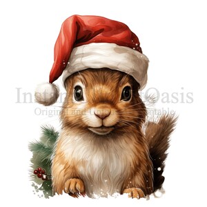 Christmas Squirrell Clipart, 10 High Quality Pngs, Christmas Clipart ...