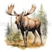 Moose Clipart, 10 High Quality Jpgs, Nursery Art, Digital Download ...