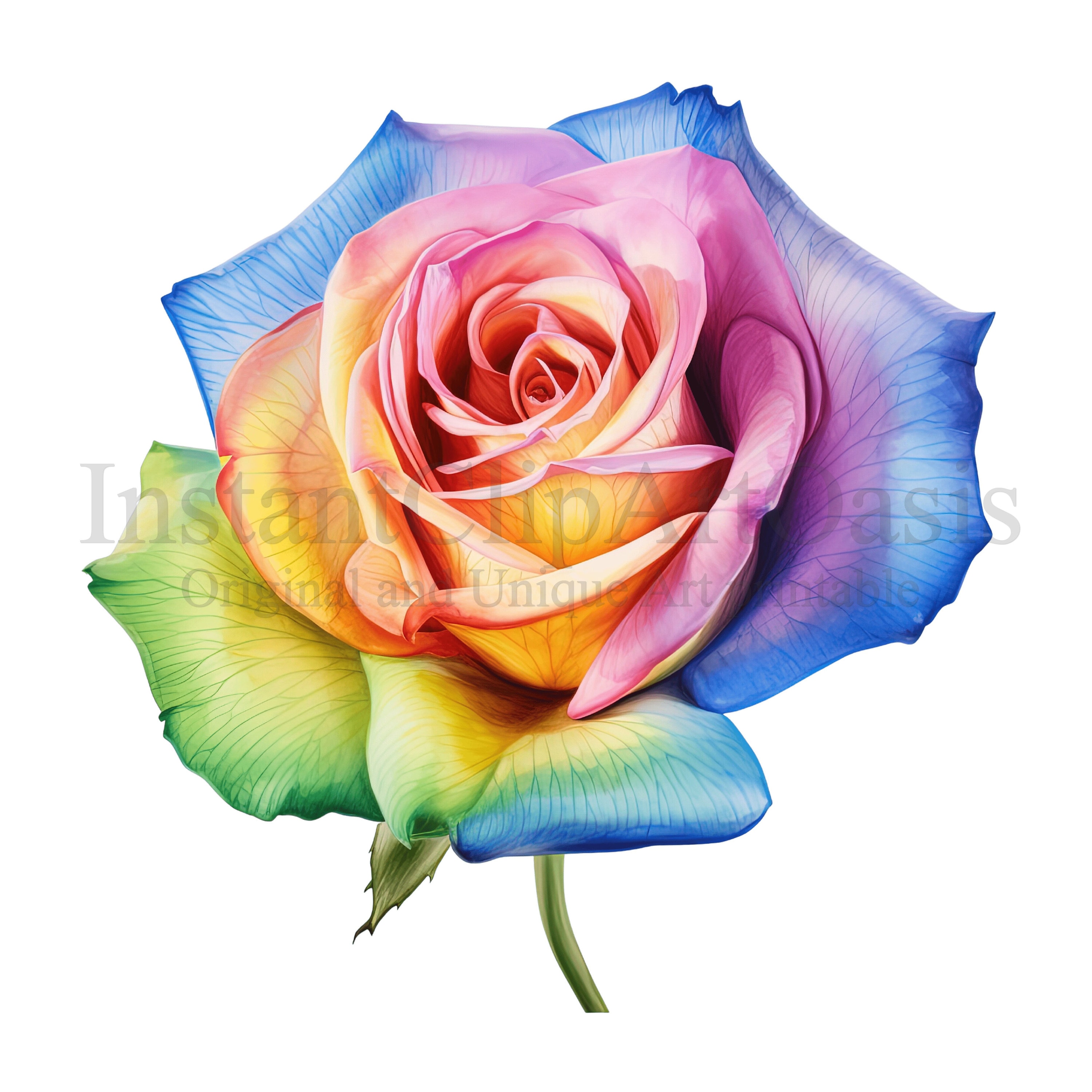 Rainbow Roses Clipart - 10 High Quality Pngs, Botanical Clipart ...