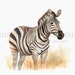 Zebra Clipart, 10 High Quality Jpgs, Nursery Art, Instant Digital ...