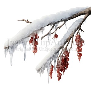 Branch & Icicles Clipart, 10 High Quality Pngs, Botanical Art, Digital ...