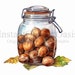 Acorns Jar Clipart, 10 High Quality Jpgs, Vintage Art, Digital Download ...