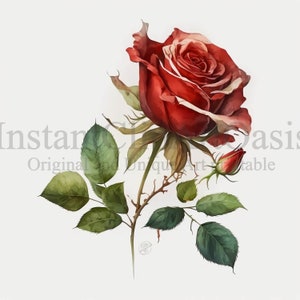 Red Rose Clipart, 10 High Quality Jpgs, Botanical Art, Instant Digital ...
