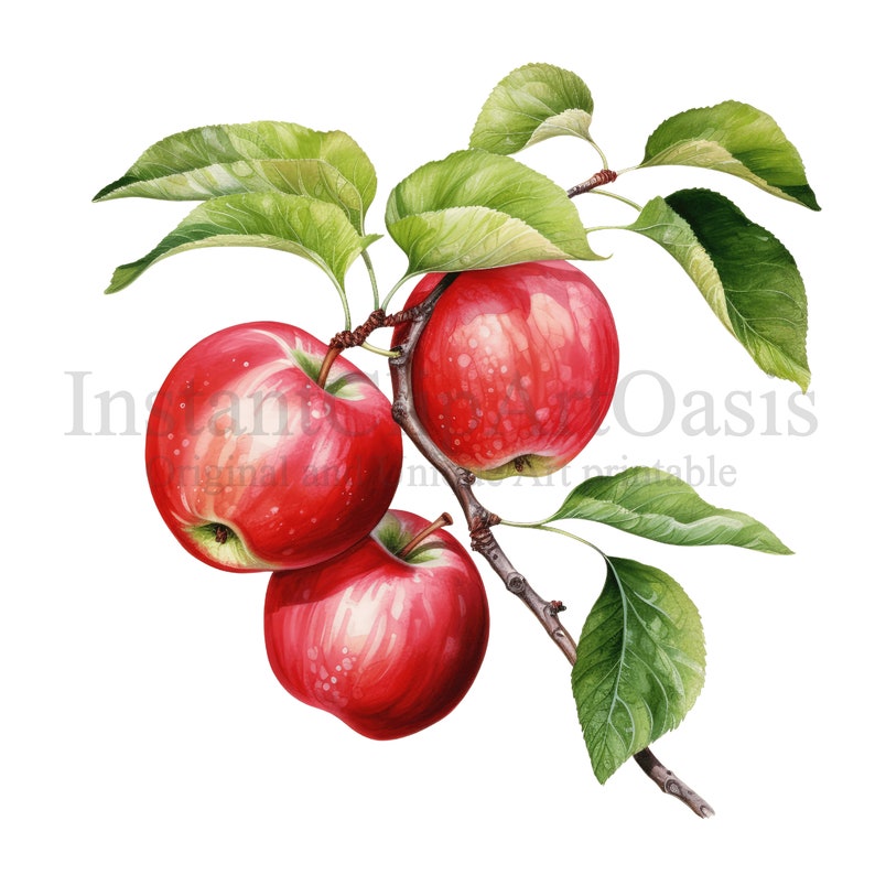 Apple Branches Clipart - 10 High Quality Pngs, Digital Download ...