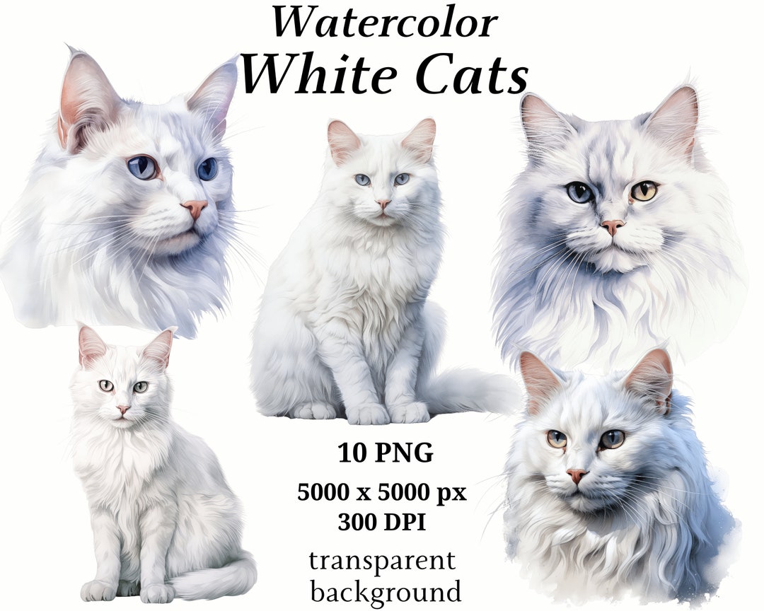 White Cats Clipart, 10 High Quality Pngs, Nursery Art, Digital Download ...