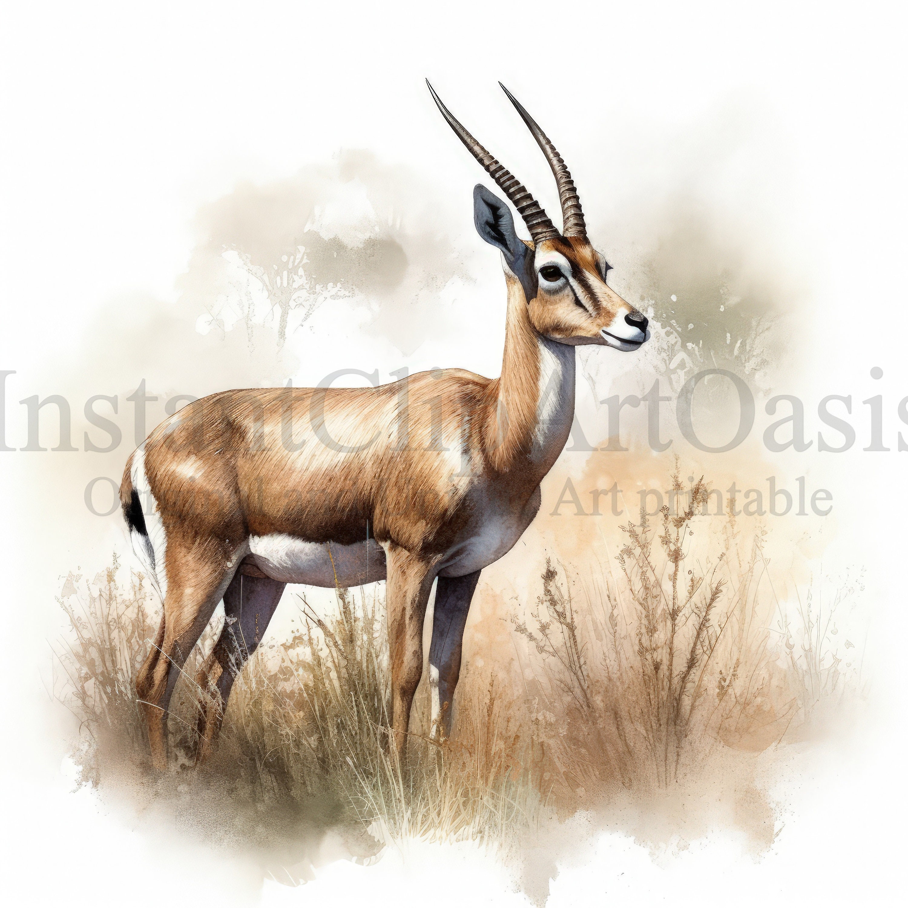 Grant's Gazelle Clipart, 6 High Quality Jpgs, Instant Digital Download ...