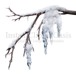 Branch & Icicles Clipart, 10 High Quality Pngs, Botanical Art, Digital ...